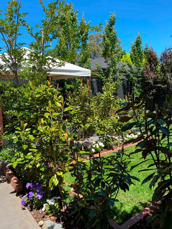 Share house Tranmere, Adelaide | $175pw, 4+ bedroom house ...