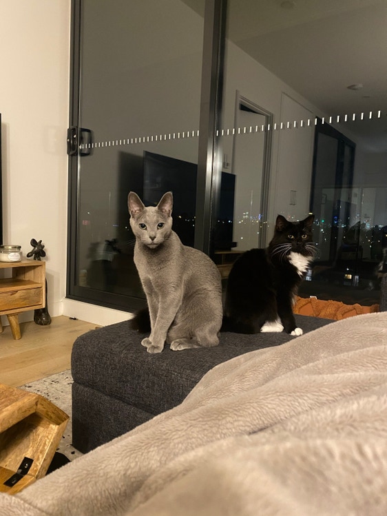 Share house Brunswick West, Melbourne | $275pw, 2 bedroom house ...