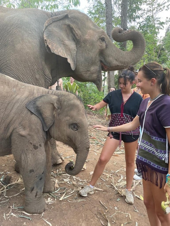 Lucile, Female (str), 18 to 24 yrs - Looking in Perth - Inner ...