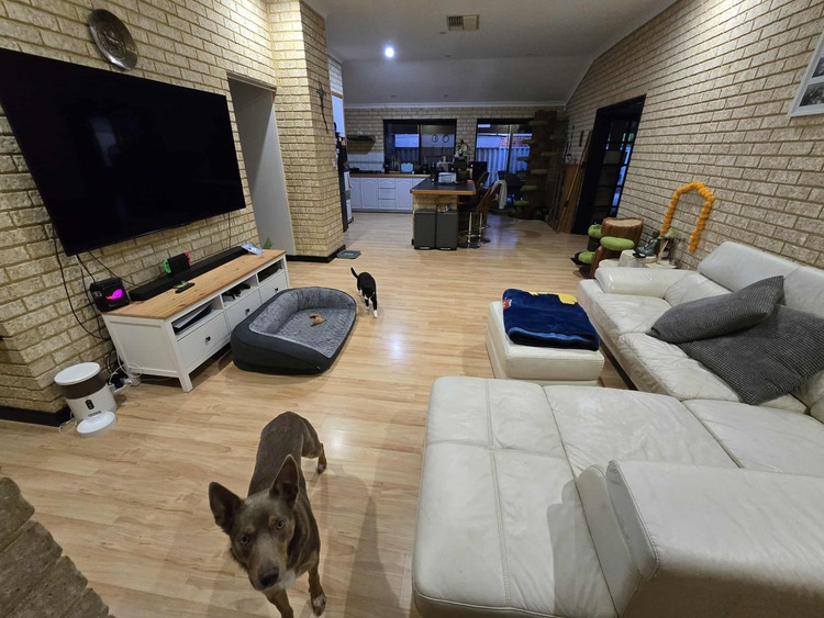 Share house Jane Brook, Perth | $325pw, 4+ bedroom house ...