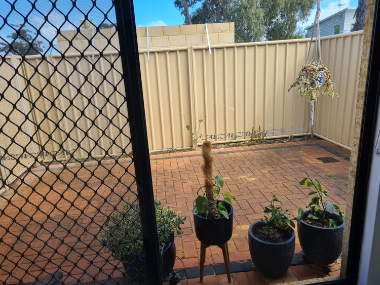 Share house Nollamara, Perth | $225pw, 3 bedroom house ...
