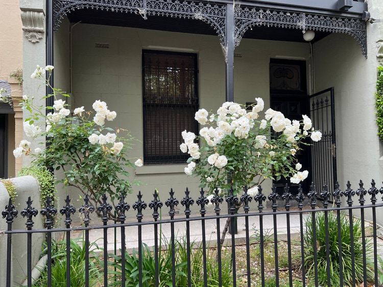 Share house Fitzroy, Melbourne | $200pw, 3 bedroom house ...