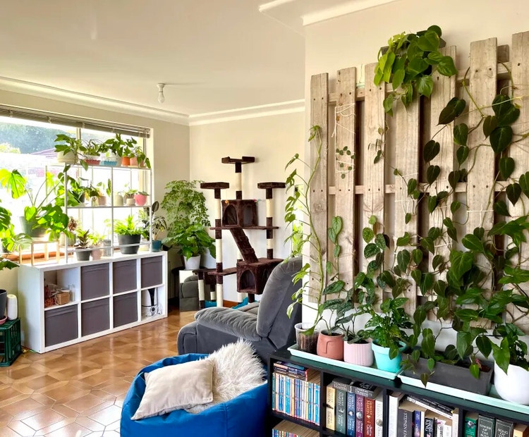 Share house Embleton, Perth | $250pw, 3 bedroom house | FlatmateFinders ...