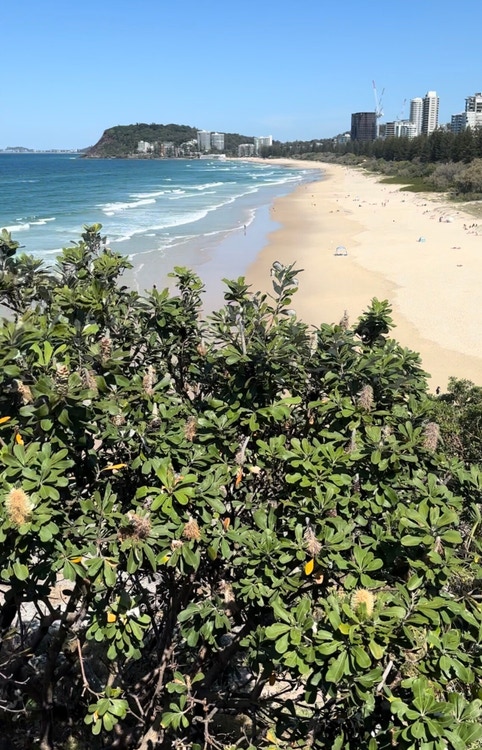 Share house Miami, Gold Coast | $285pw, 4+ bedroom house ...