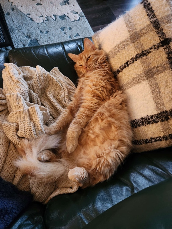 Amber, Woman (str), 25 – 30 yrs - Looking in Perth - Inner ...