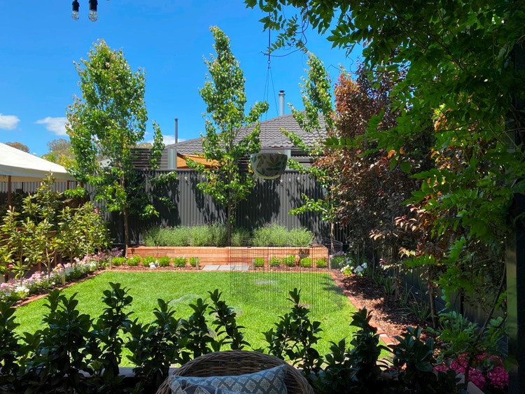 Share house Tranmere, Adelaide | $175pw, 4+ bedroom house ...