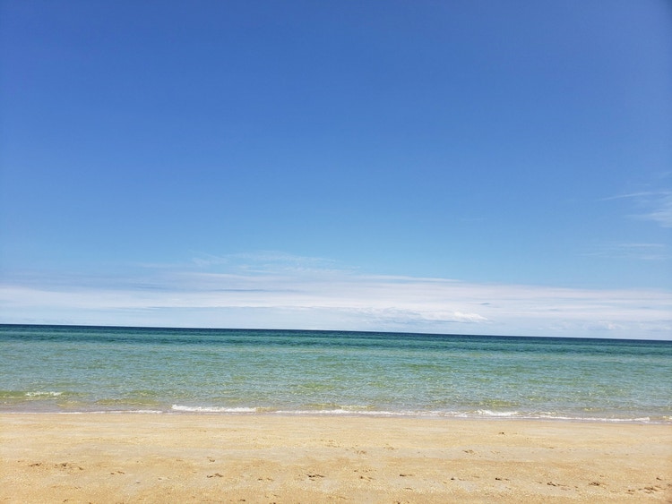 Share house Aspendale, Melbourne | $300pw, 3 bedroom apartment ...