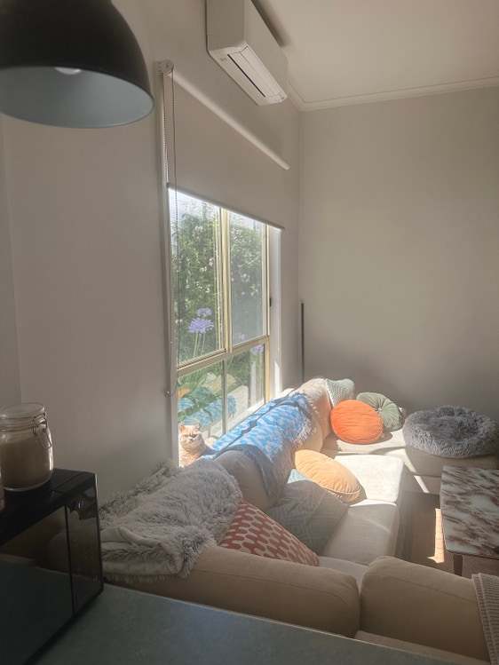 Share house Spotswood, Melbourne | $258pw, 2 bedroom house ...