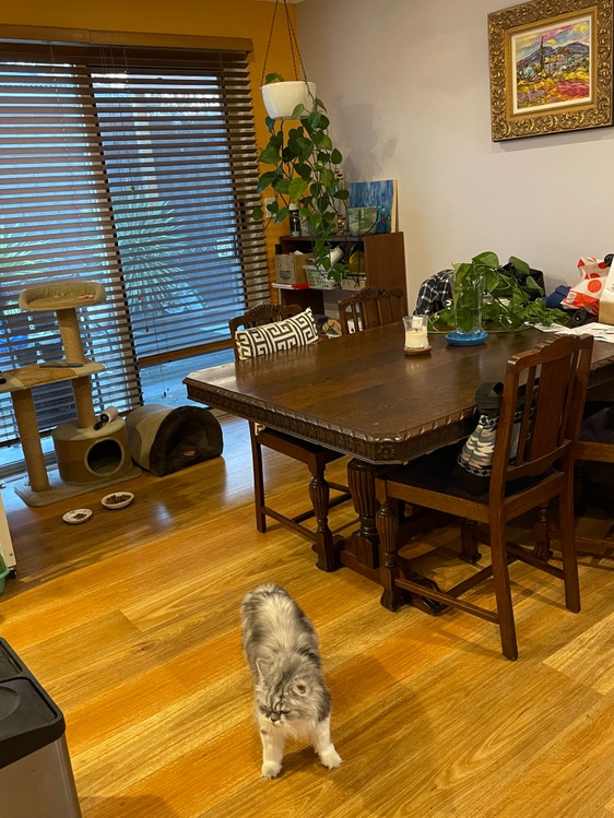 Share house Brooklyn, Melbourne | $225pw, 3 bedroom house ...