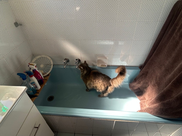 Share house Cheltenham, Melbourne | $325pw, 3 bedroom house ...